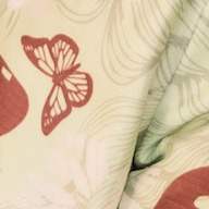 METAMORPHOSIS NNIKITA BAJORIA