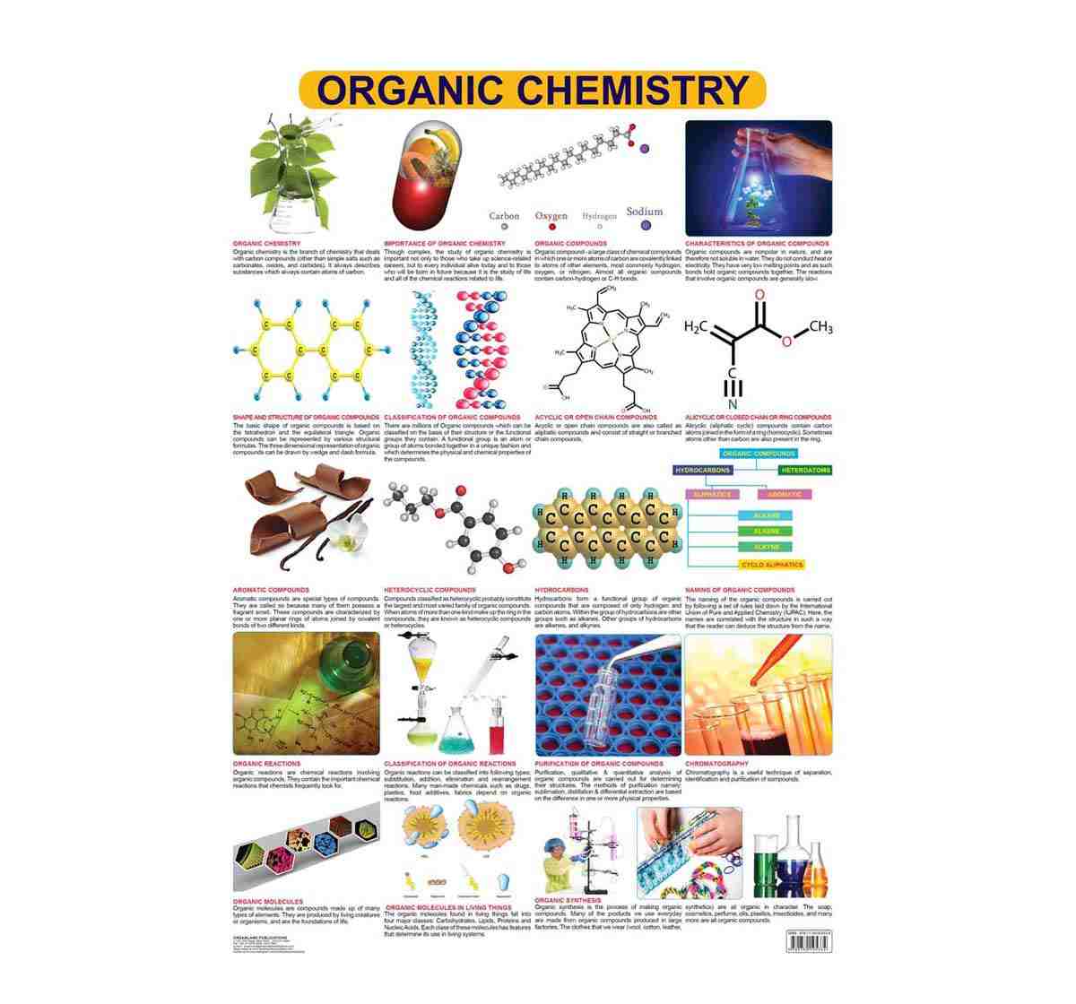Dreamland Organic Chemistry Chart for kids 12Y+, Multicolour