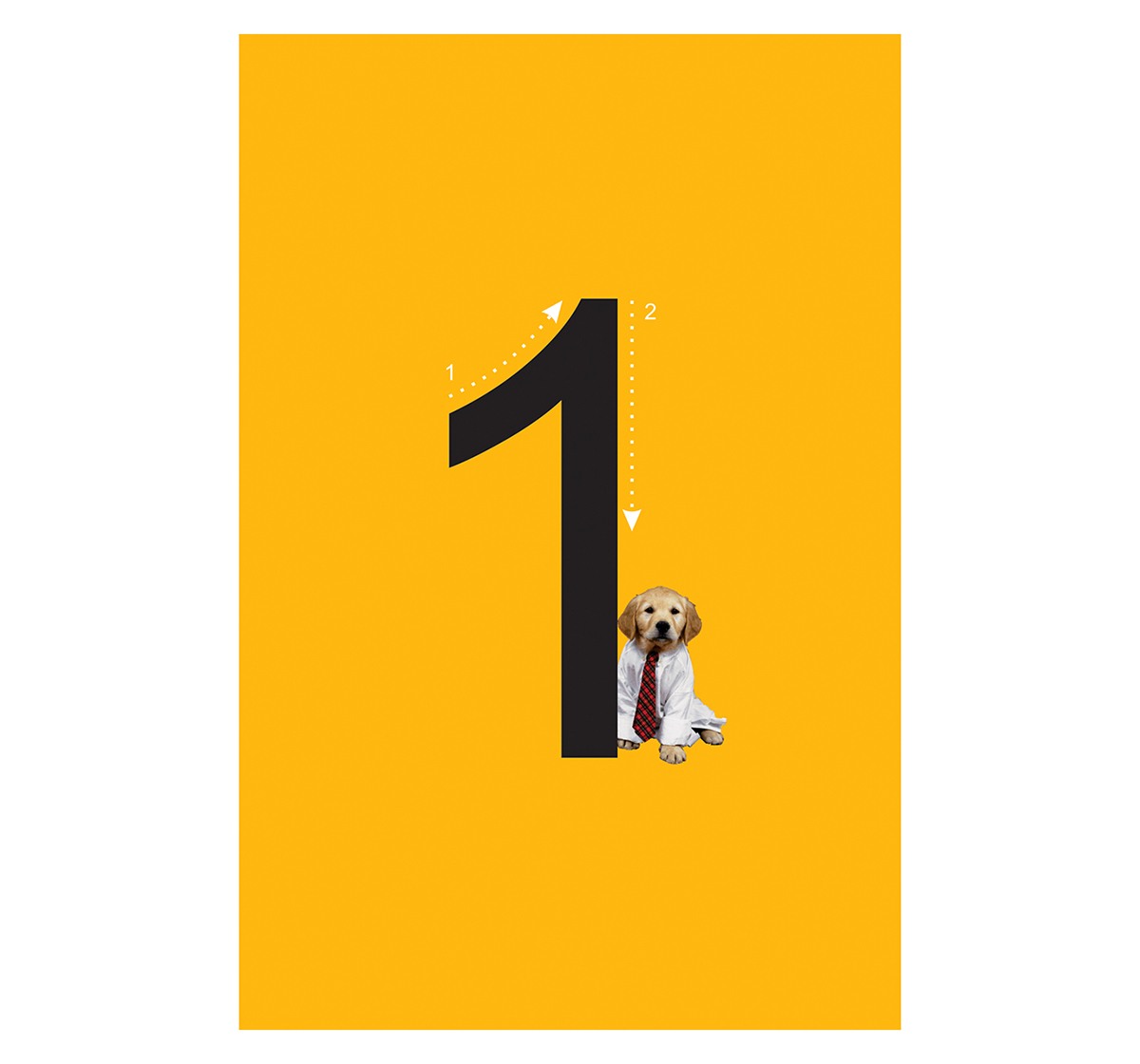 tiny tots flash cards 123