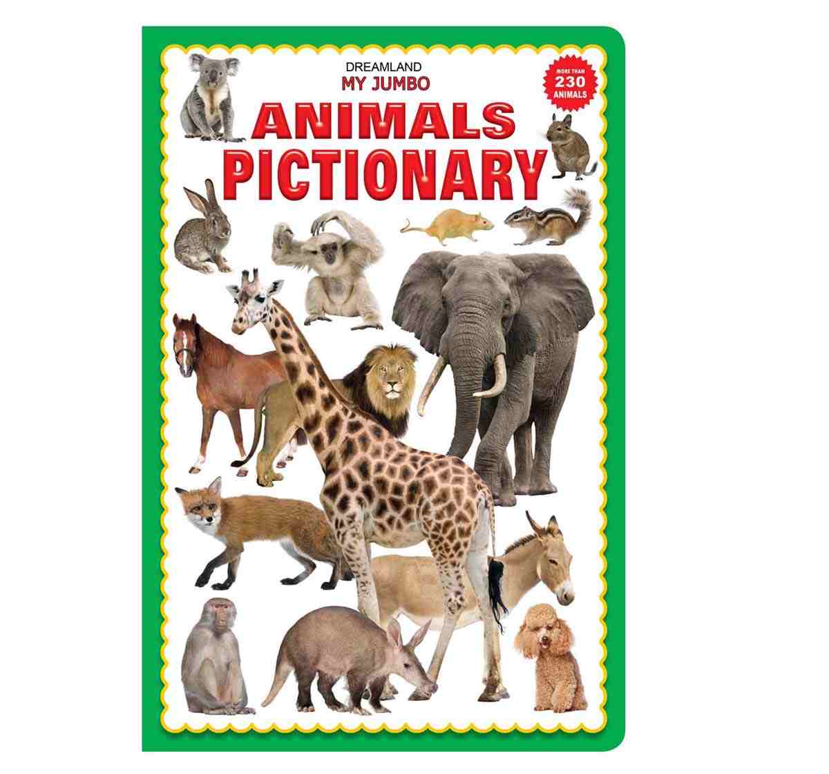 Dreamland Paper Back My Jumbo Vehicles Pictionary Picture Book for kids ...