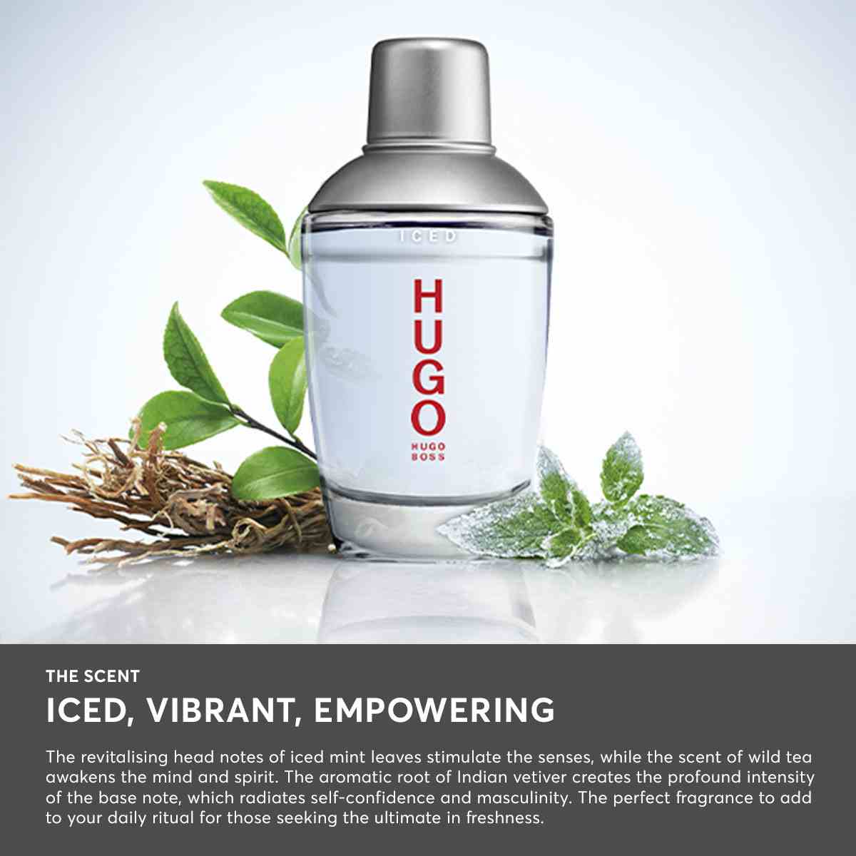 Hugo boss iced edt store