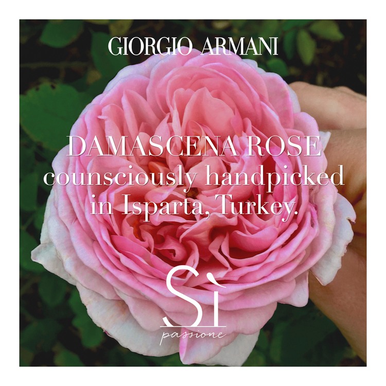 Si Passione Éclat Eau De Parfum • 50ml