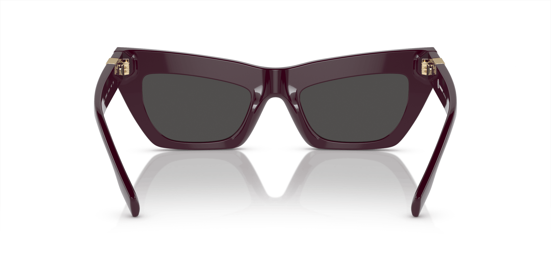 ACETATE WOMAN SUNGLASS