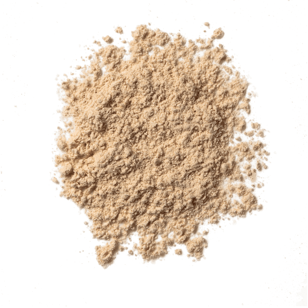 Ultimate Setting Powder Mini • Translucent