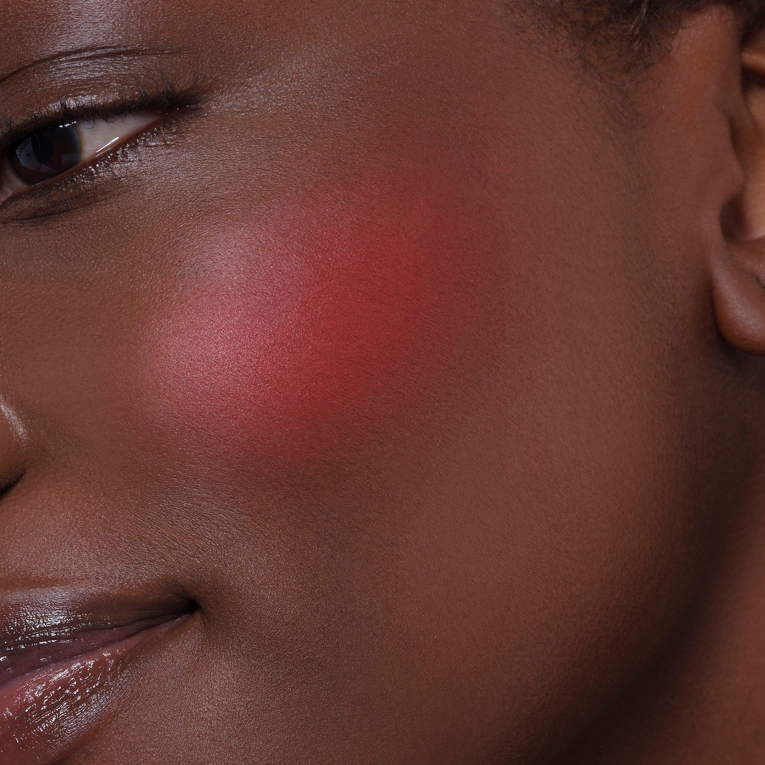 Artist Face Powder Blush • B350 Flashing Fire