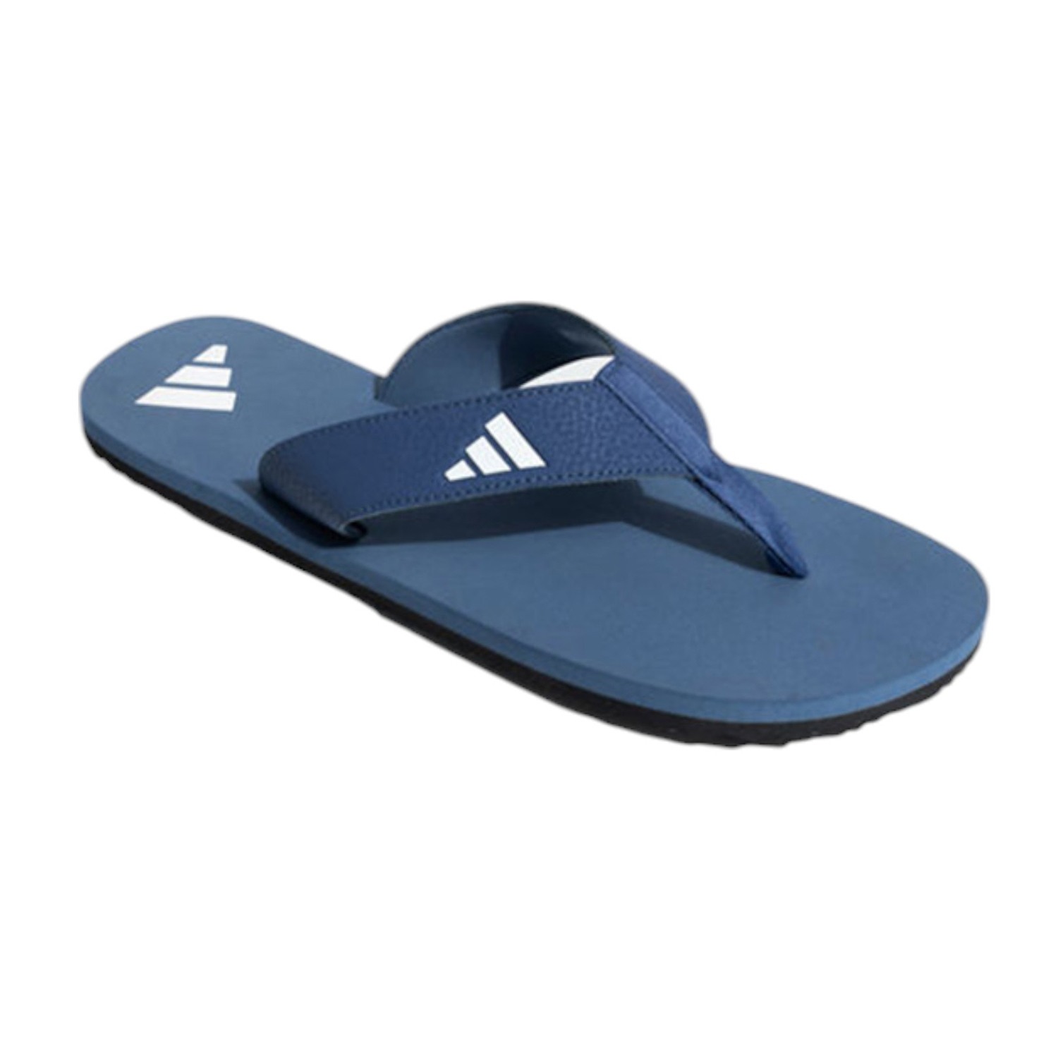 Men Flip flop Blue