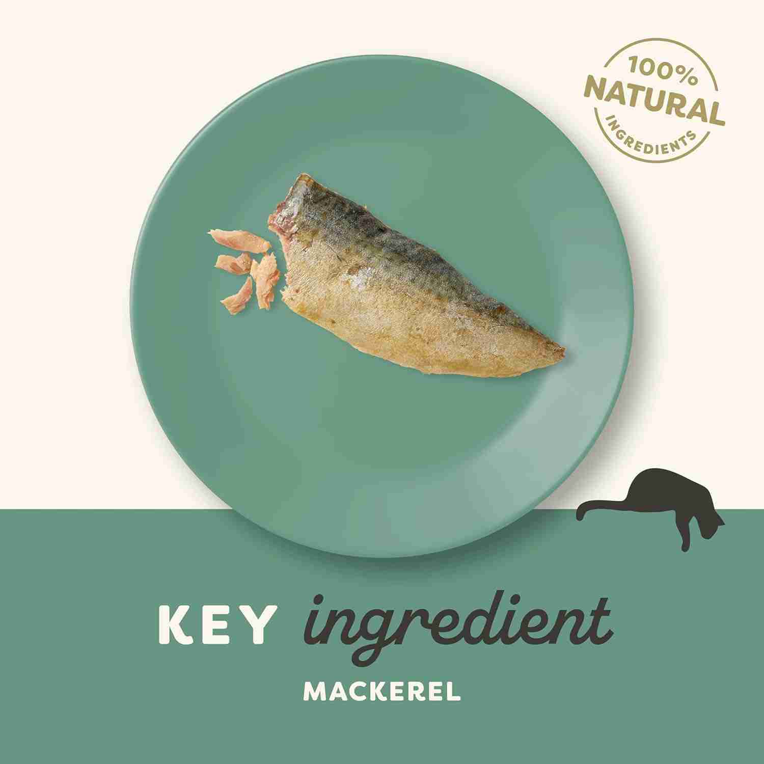 Applaws Cat Treat Whole Mackerel lion Food For Cat 30g