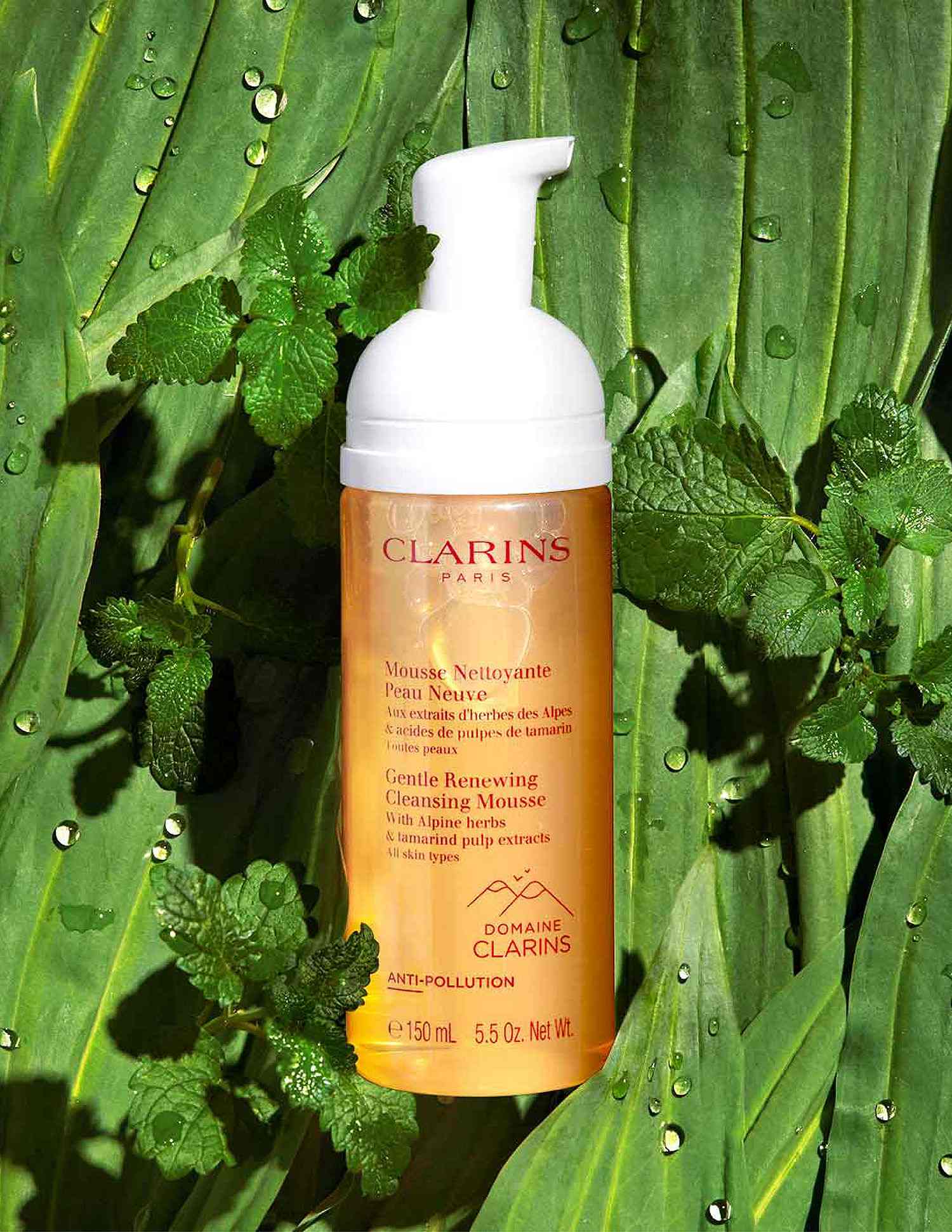 Gentle Renewing Cleansing Mousse • Value