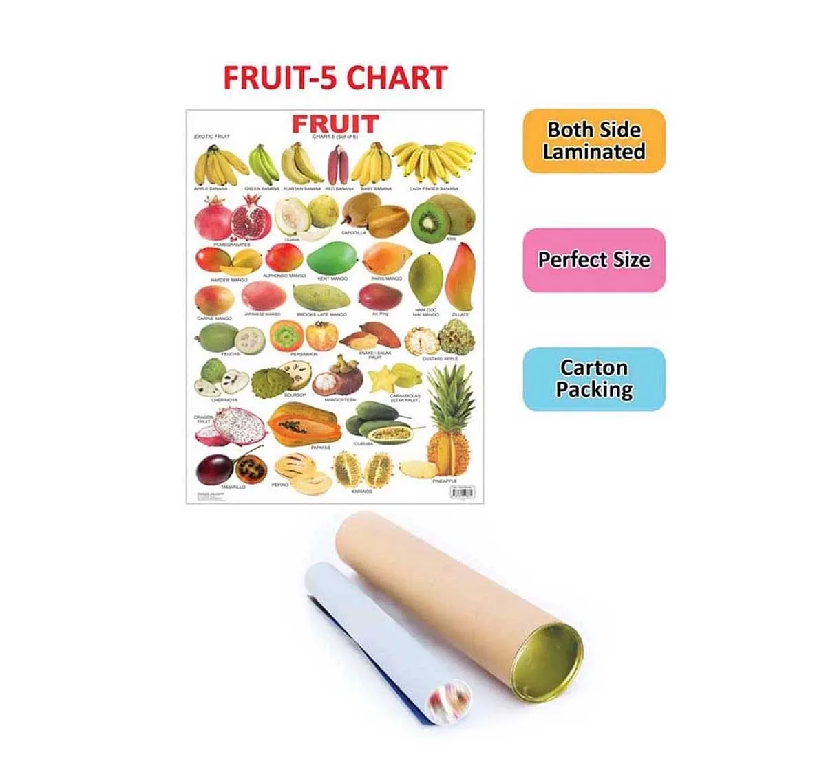 fruits name chart