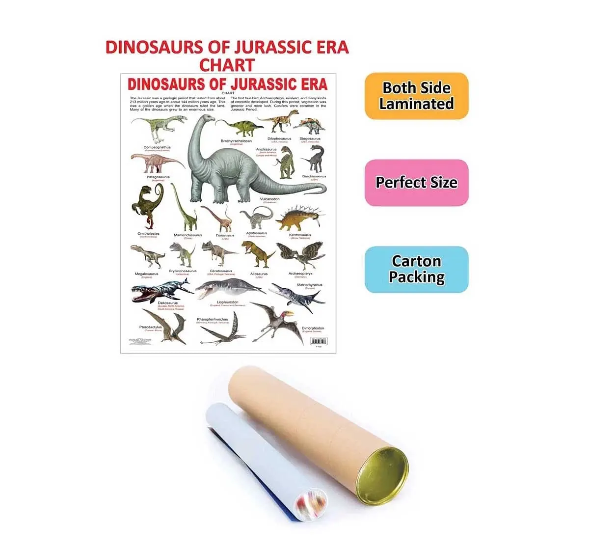 dinosaur chart ncert