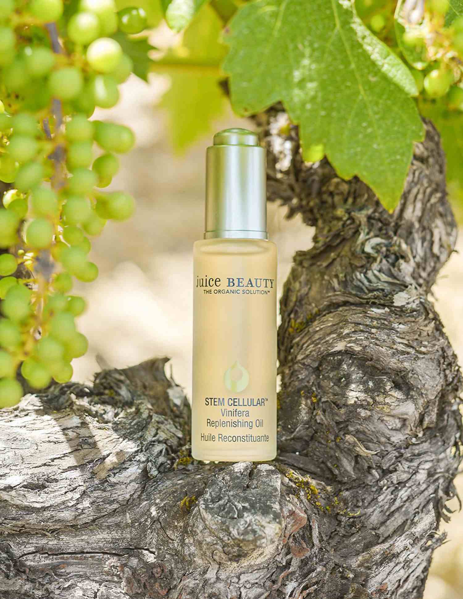 Stem Cellular Vinifera Replenishing Oil • 30ml