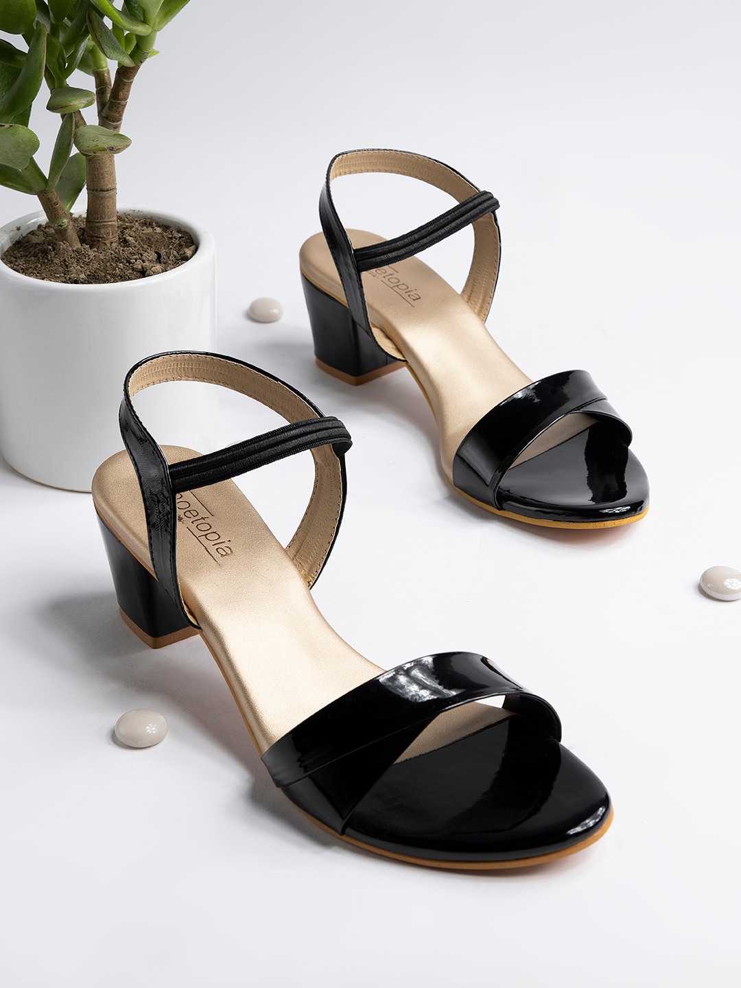 Shoetopia Women Black Solid Heels