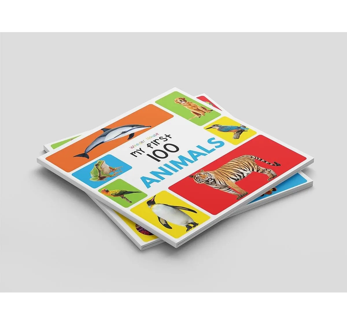 Wonder House Books My First 100 Series Boxset Pack of 5 Picture Books ...