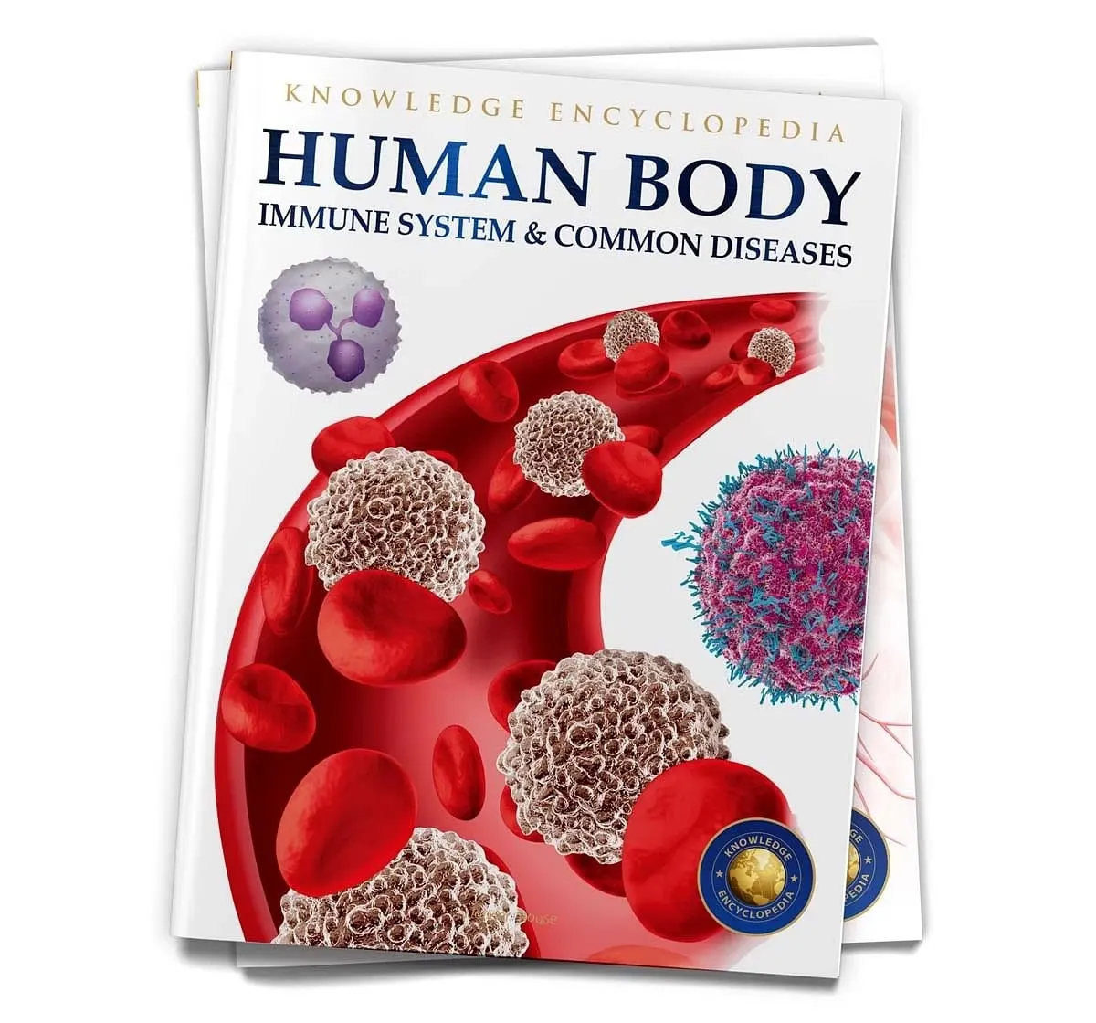Wonder House Books Human Body Immusystem and Common Diseases Knowledge ...