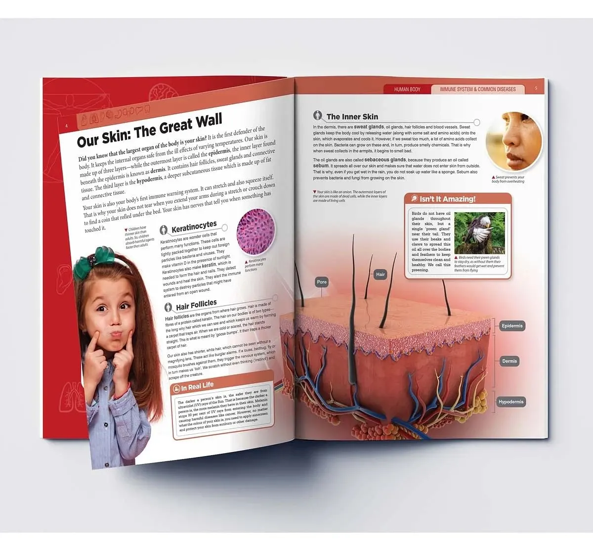 Wonder House Books Human Body Immusystem and Common Diseases Knowledge ...