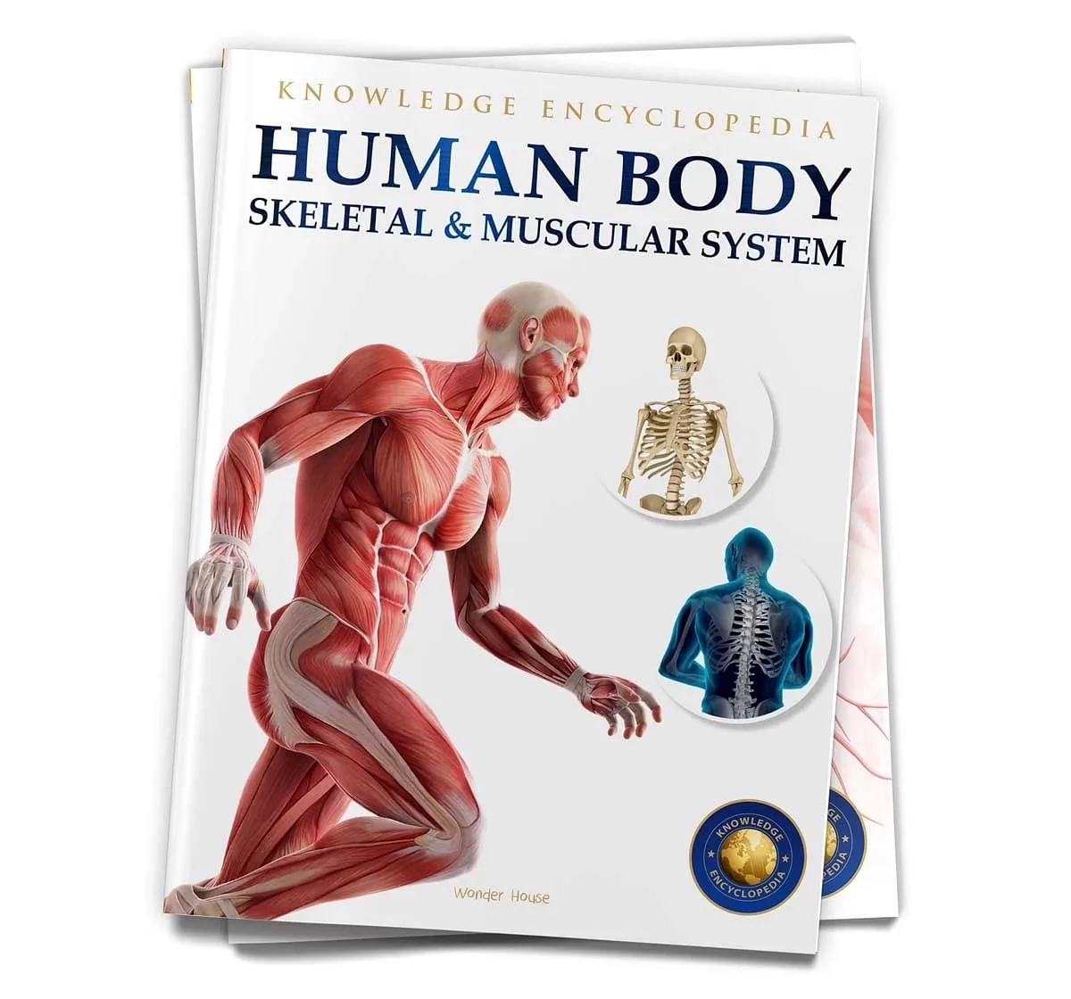 Wonder House Books Human Body Skeletal and Muscular System Knowledge ...