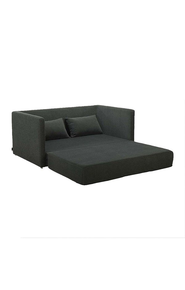 neudot Max Fabric Pull-Out Sofa Cum Bed for Living Room | 2 Seater Sofa Bed for Drawing Room ...